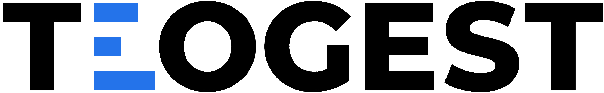 Teogest : La plateforme française pour les experts-comptables